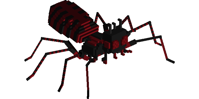The Sandbox - Redback spider