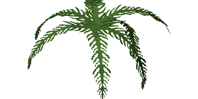 The Sandbox - AURORA Palm Huge Leaf 01