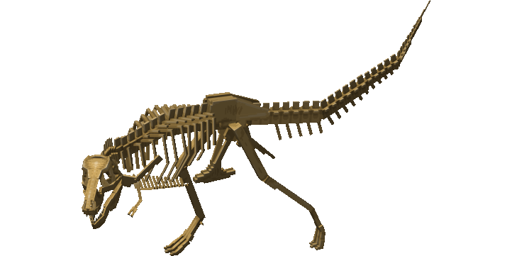The Sandbox - Tyrannosaurus Rex Fossil Display
