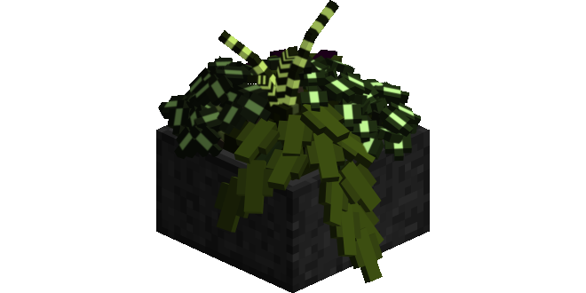 The Sandbox - Mixed Plant Planter