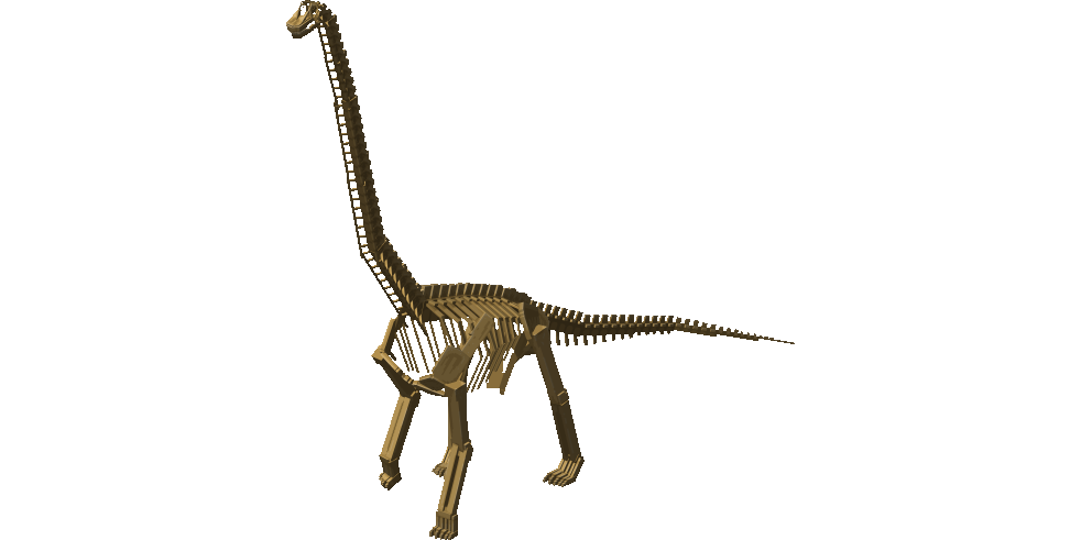 The Sandbox - Brachiosaurus Fossil Display